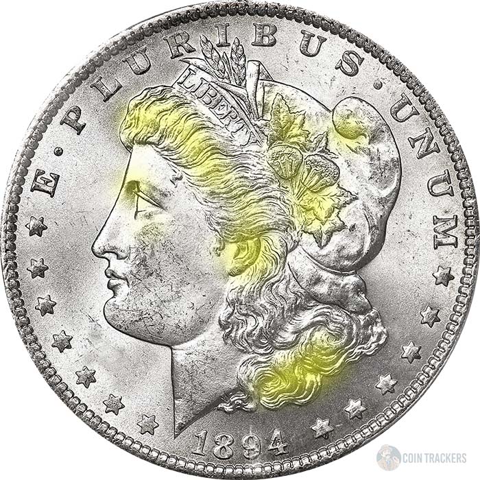 Grading Morgan Dollars 1878 1904 How To Grade Morgan Silver Dollars